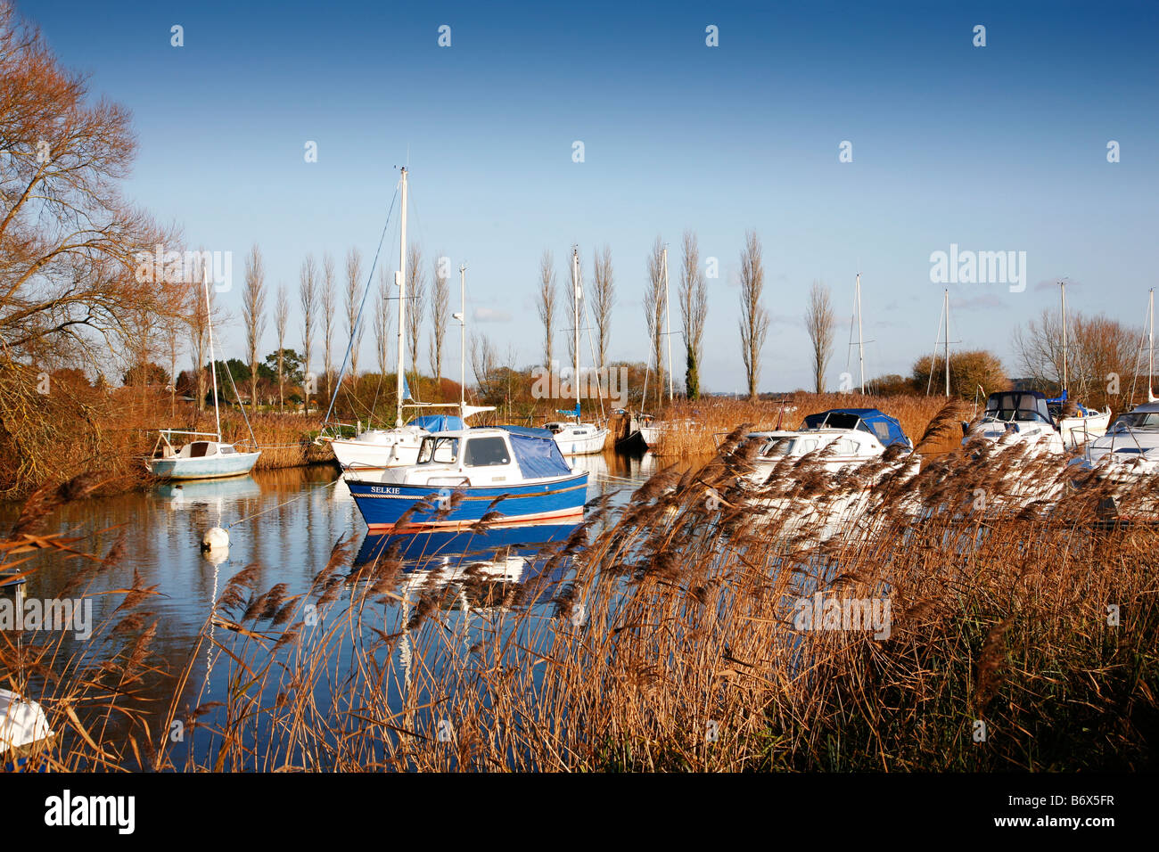 Near wareham hi-res stock photography and images - Alamy