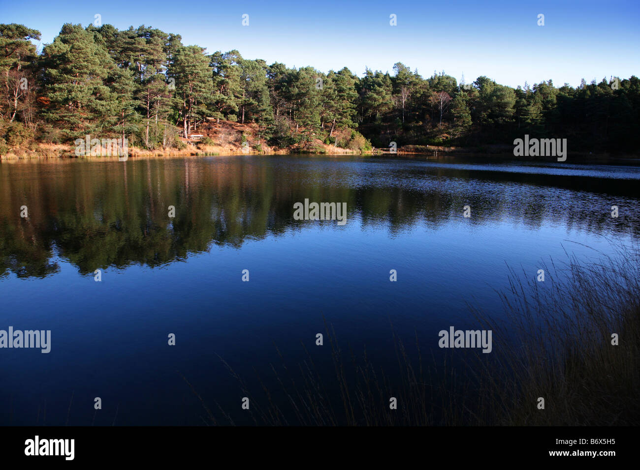 Blue Pool - Colourful lake in the Furzebrook Estate on site of a ...