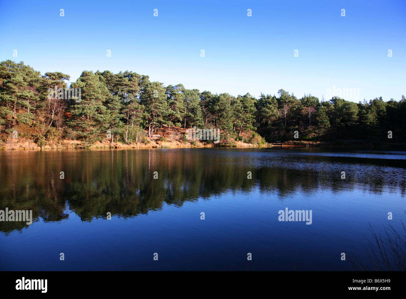 Blue Pool - Colourful lake in the Furzebrook Estate on site of a ...