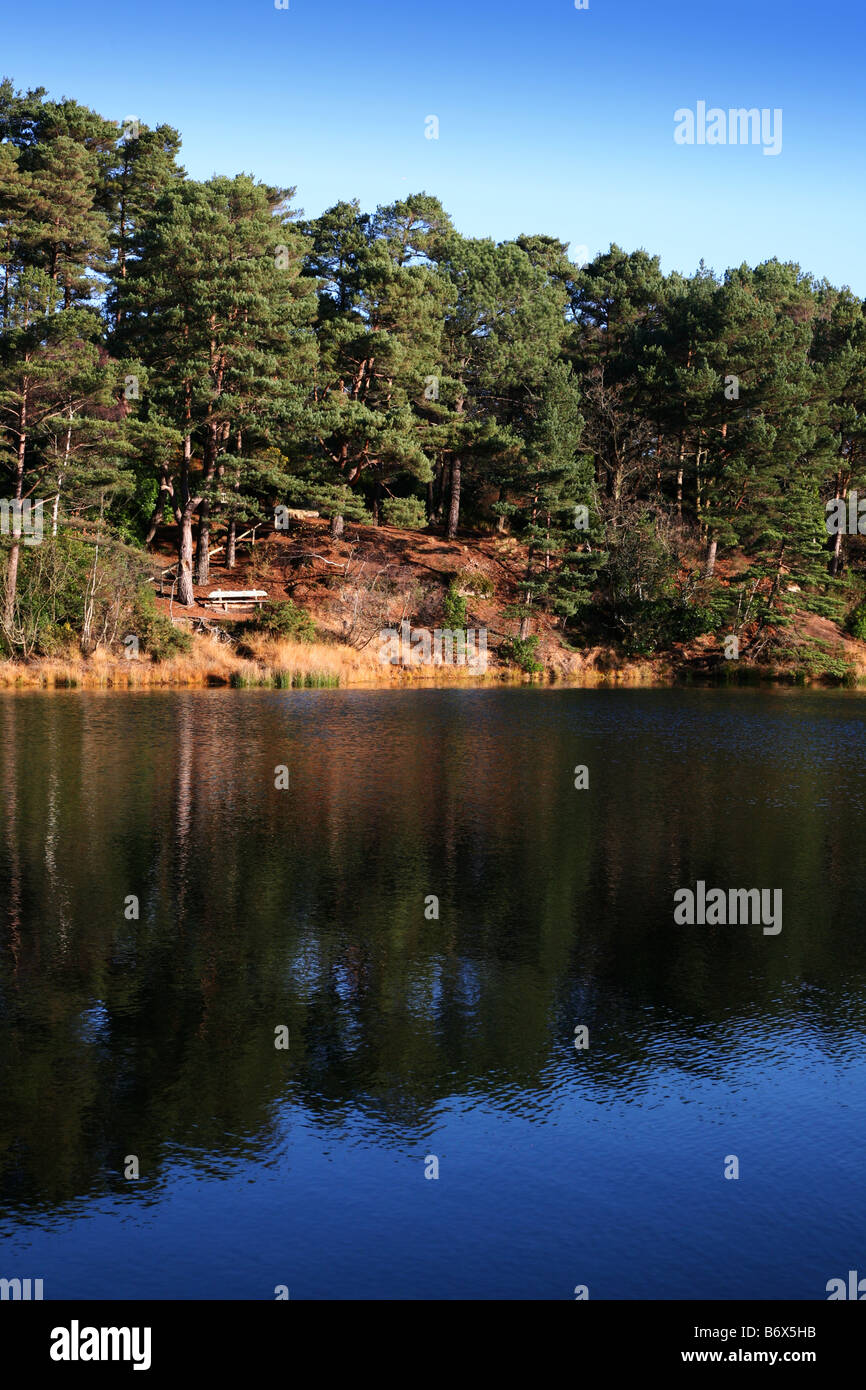 Blue Pool - Colourful lake in the Furzebrook Estate on site of a ...