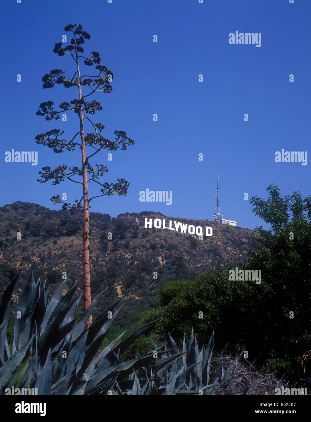The famous Hollywood sign in Los Angeles Stock Photo - Alamy
