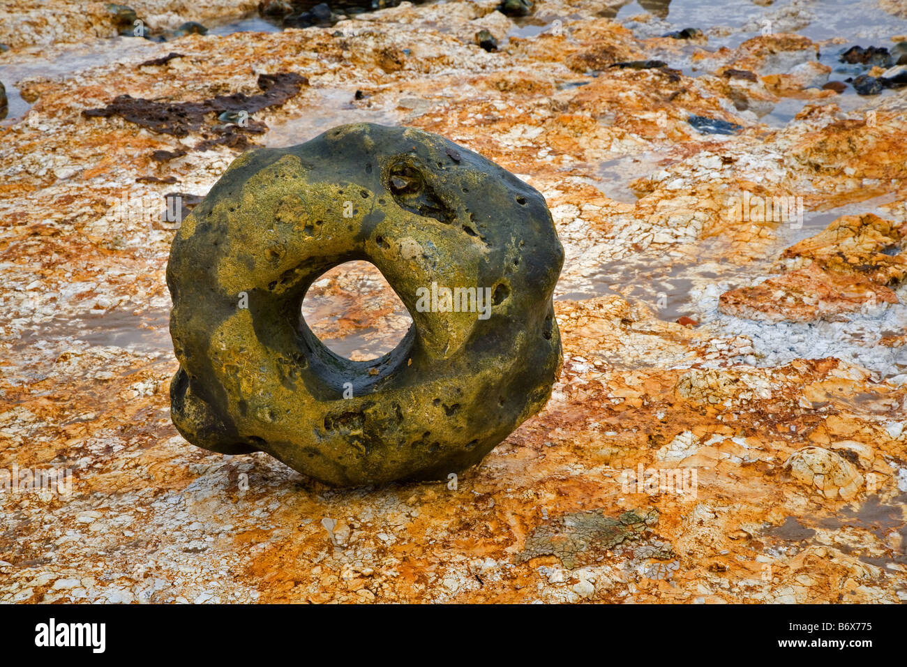 Fossils on the beach hi-res stock photography and images - Alamy