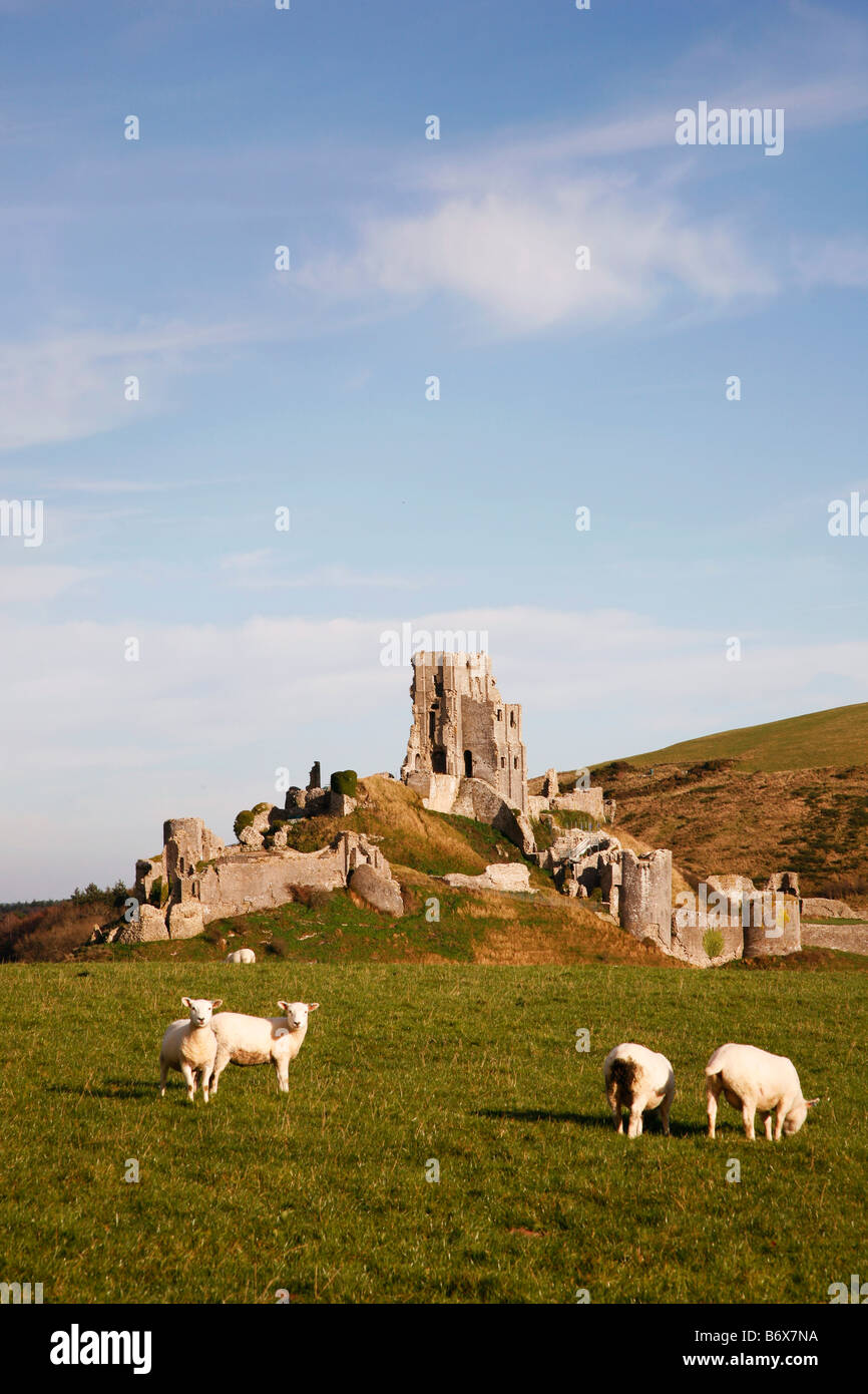 Corfe castle village farmland england hi-res stock photography and ...