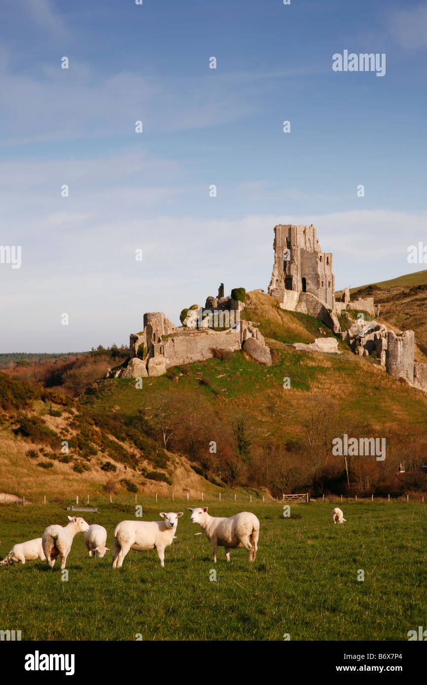 Corfe castle village farmland england hi-res stock photography and ...