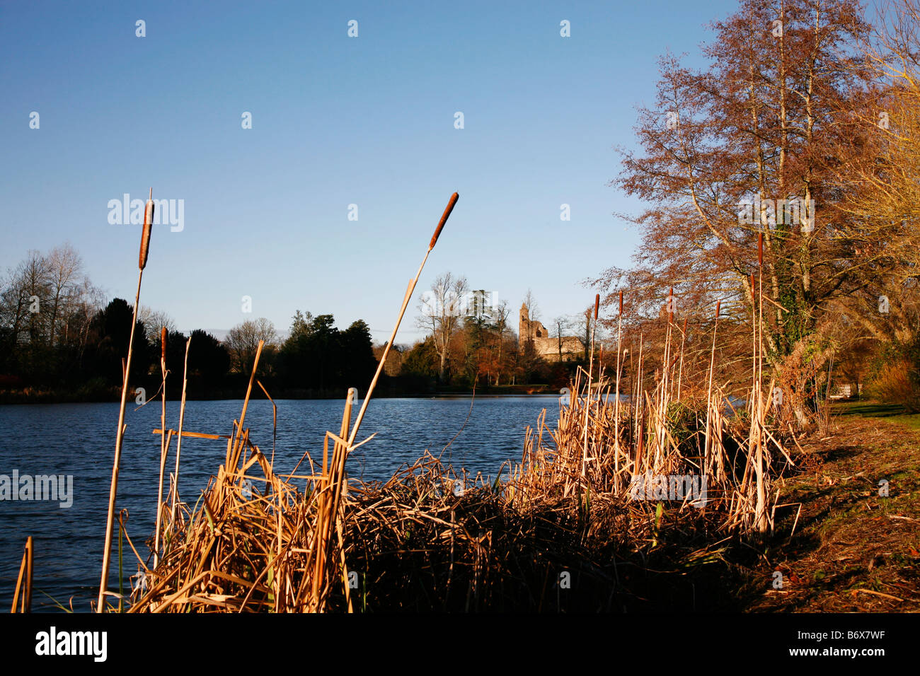Old sherborne castle hi-res stock photography and images - Alamy
