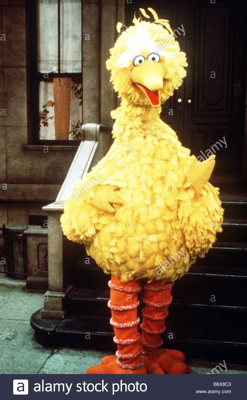 Big Bird Stock Photos & Big Bird Stock Images - Alamy