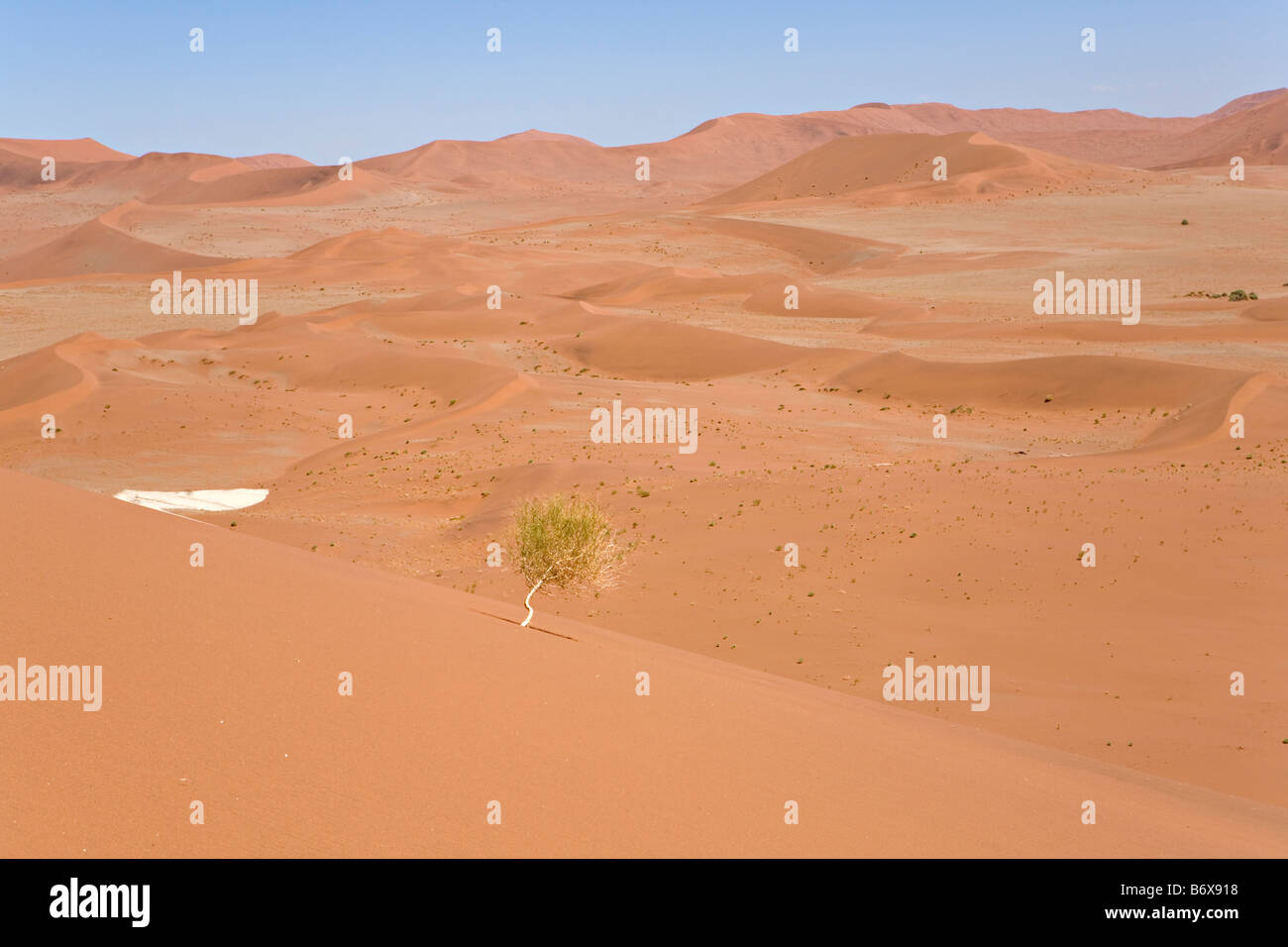 Desert scenery in Namib Desert Sossusvlei area Namib Naukluft National ...