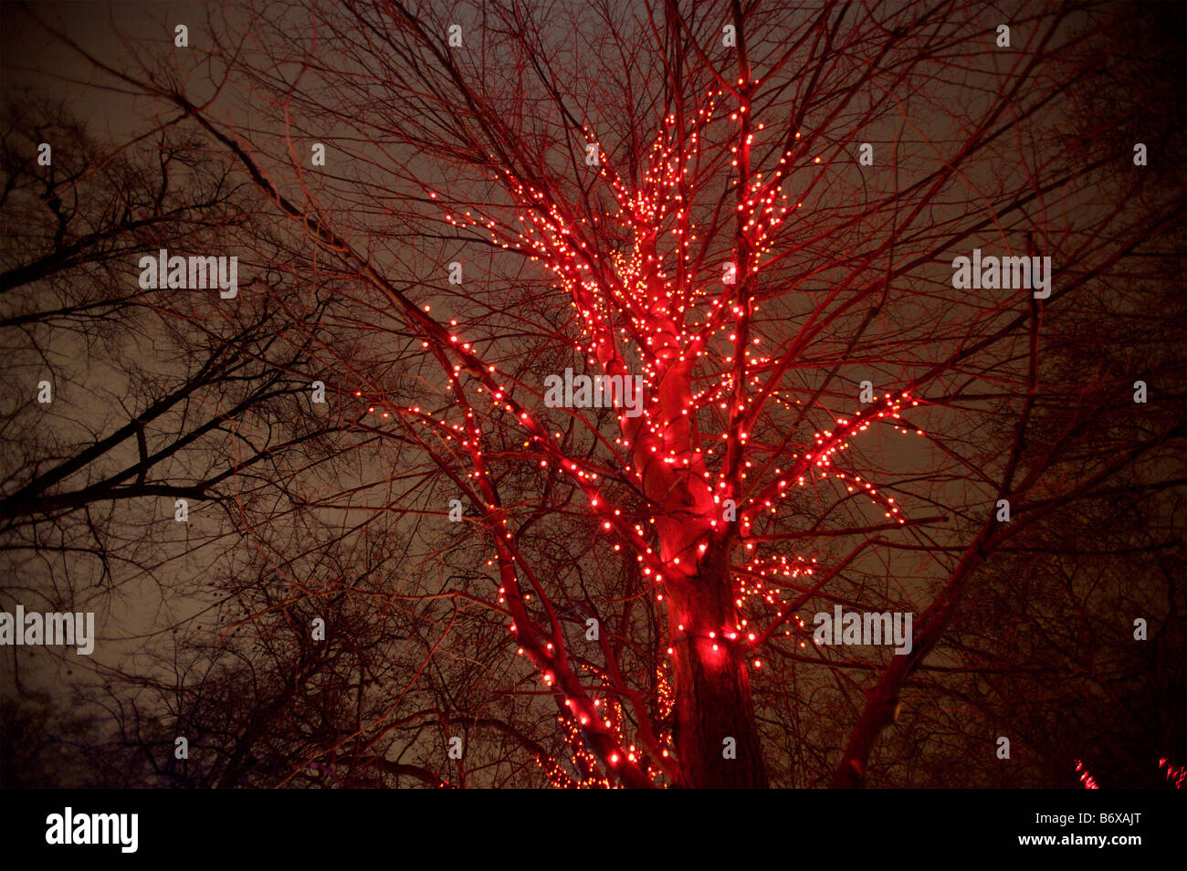 Bright lights big cities hi-res stock photography and images - Alamy