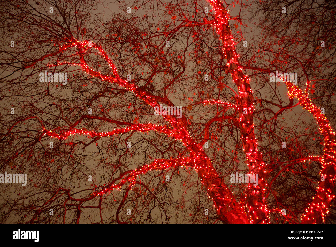 Red christmas tree lights Stock Photo - Alamy