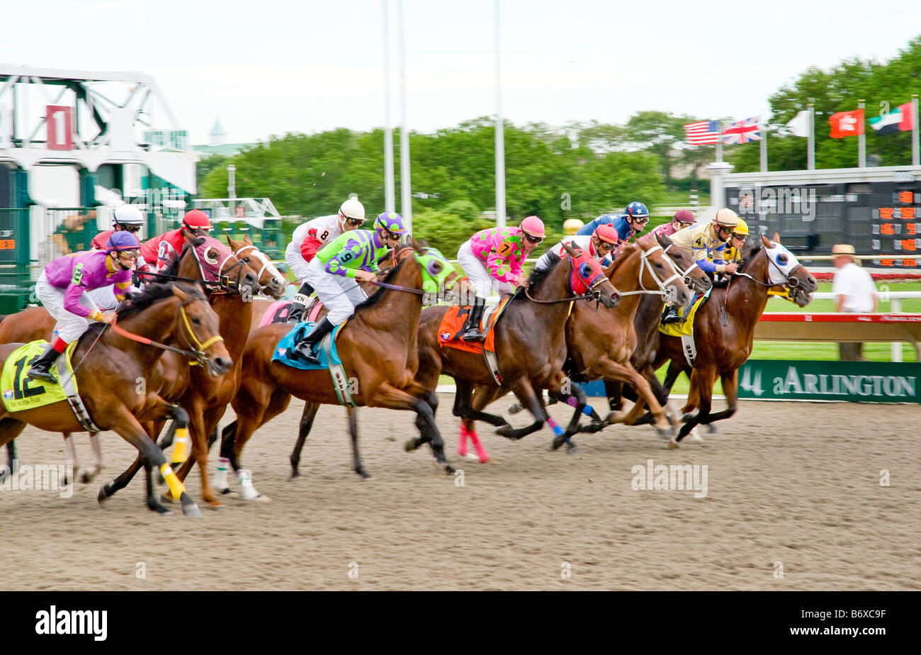 Horse Breaking High Resolution Stock Photography and Images - Alamy
