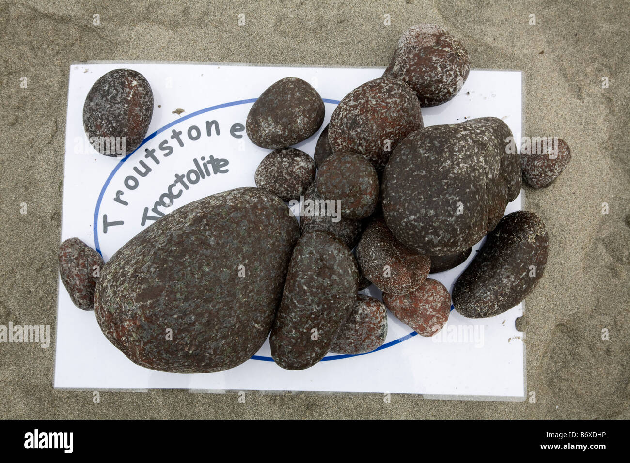 troctolite pebbles geology field trip coverack cornwall Stock Photo - Alamy