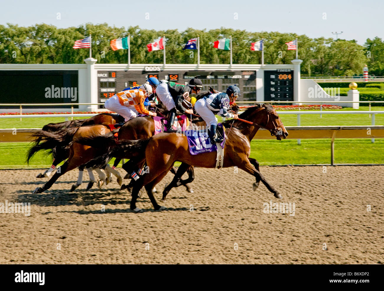 Thoroughbred horse race start hi-res stock photography and images - Alamy