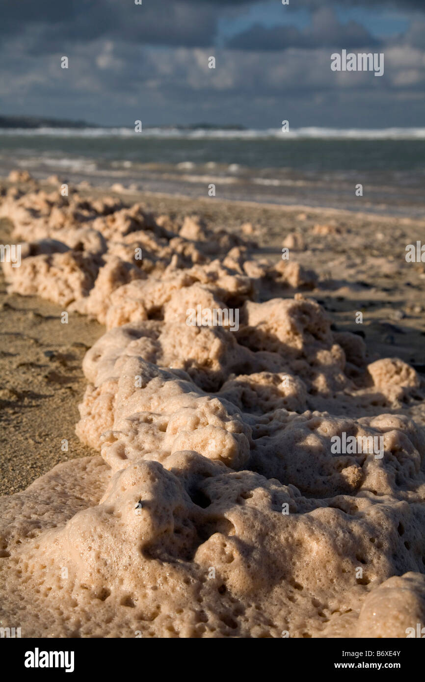 Foam on beach hi-res stock photography and images - Alamy