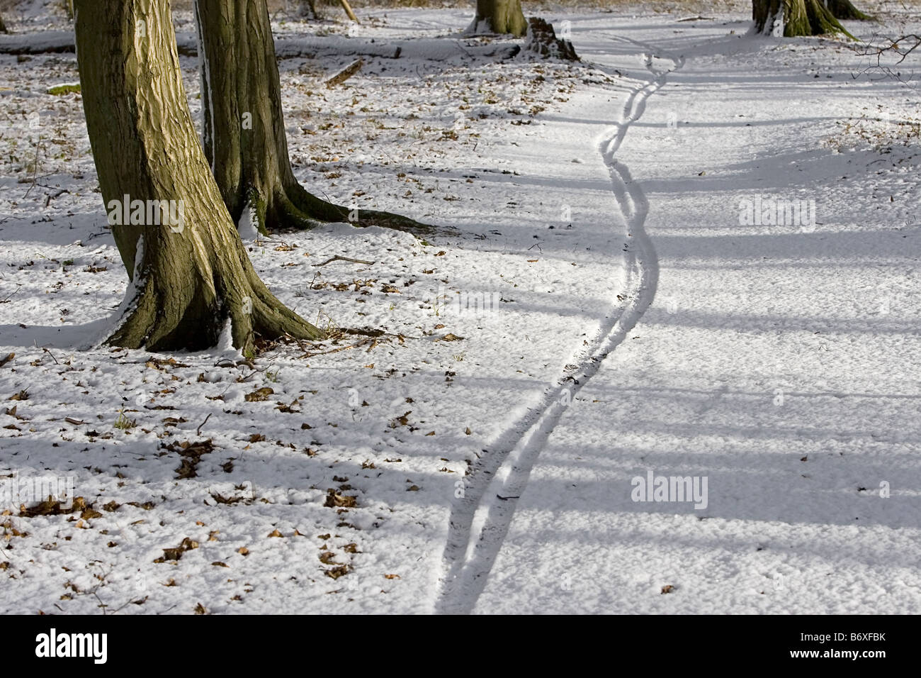 Bike tracks in snow 1 Stock Photo - Alamy
