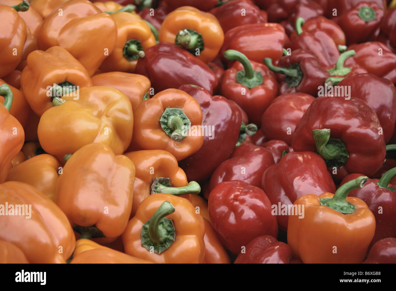 Bell peppers in open hi-res stock photography and images - Alamy