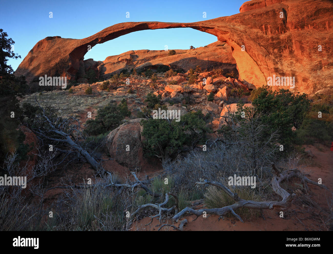 Early light on Landscape Arch, Arches National Park, Utah Stock Photo ...