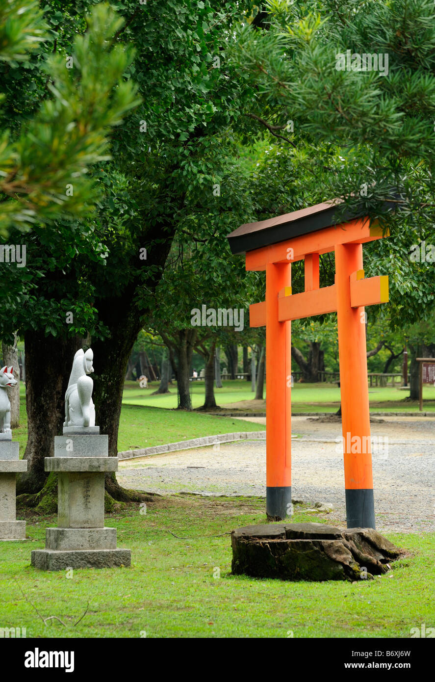 Torii gate deer hi-res stock photography and images - Alamy
