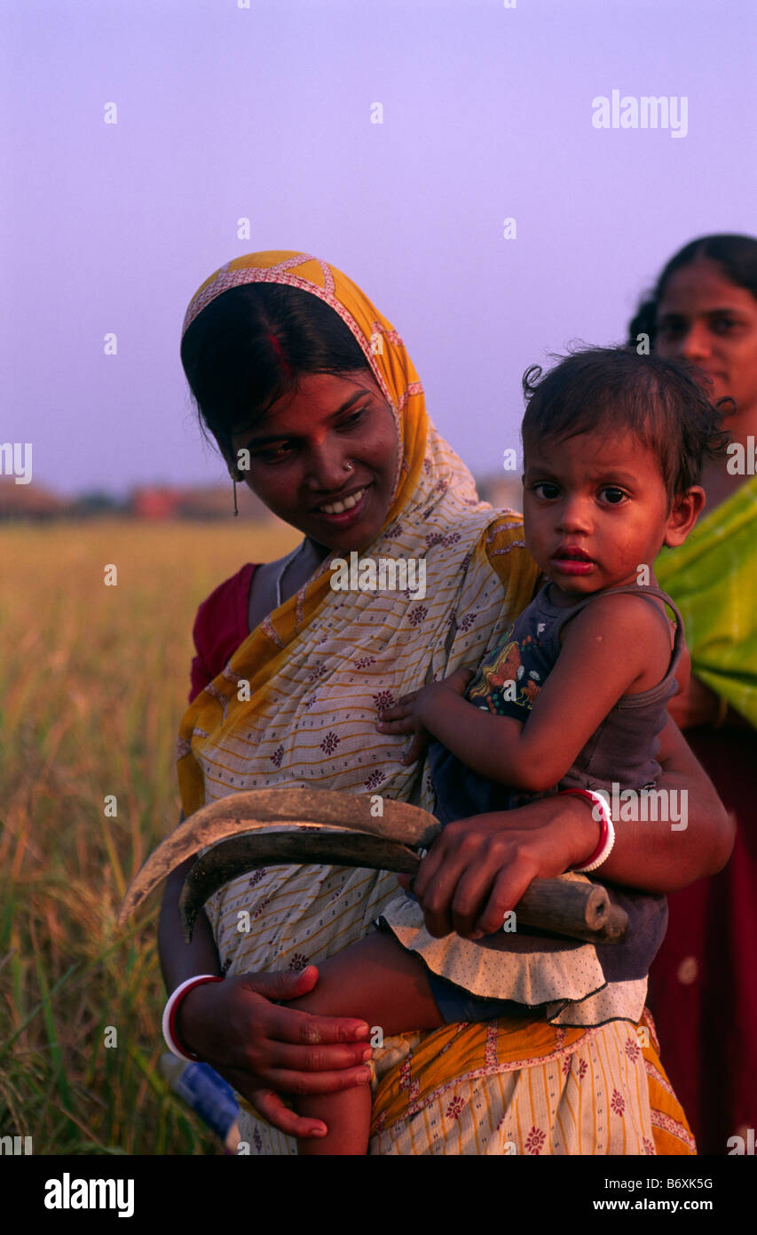 Indian rice farming hi-res stock photography and images - Alamy
