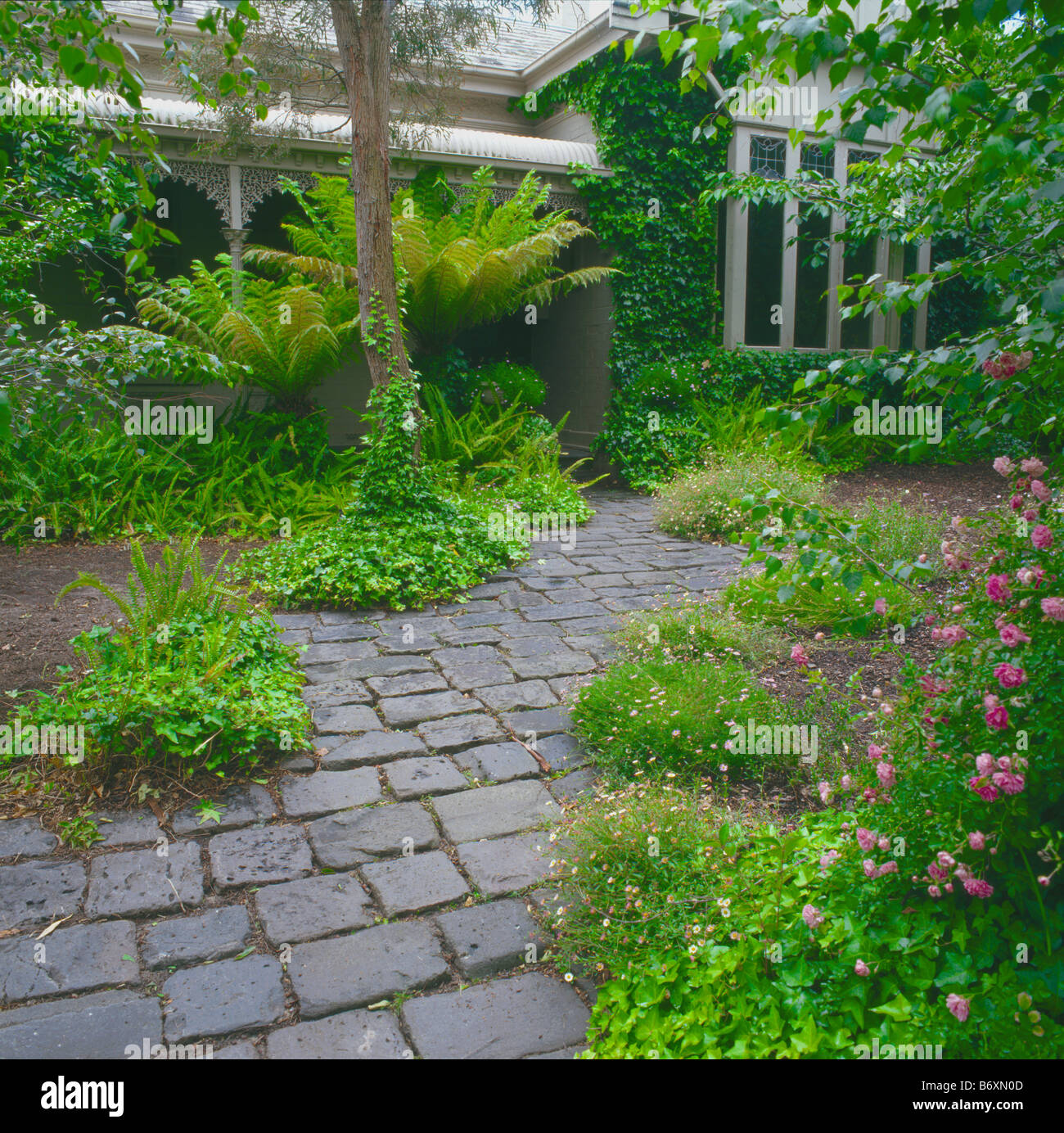 Undulating grey brick path through garden with underplanting and large ...