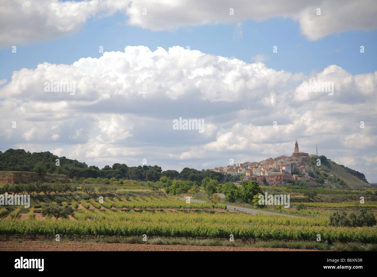 Vines And Wines High Resolution Stock Photography and Images - Alamy