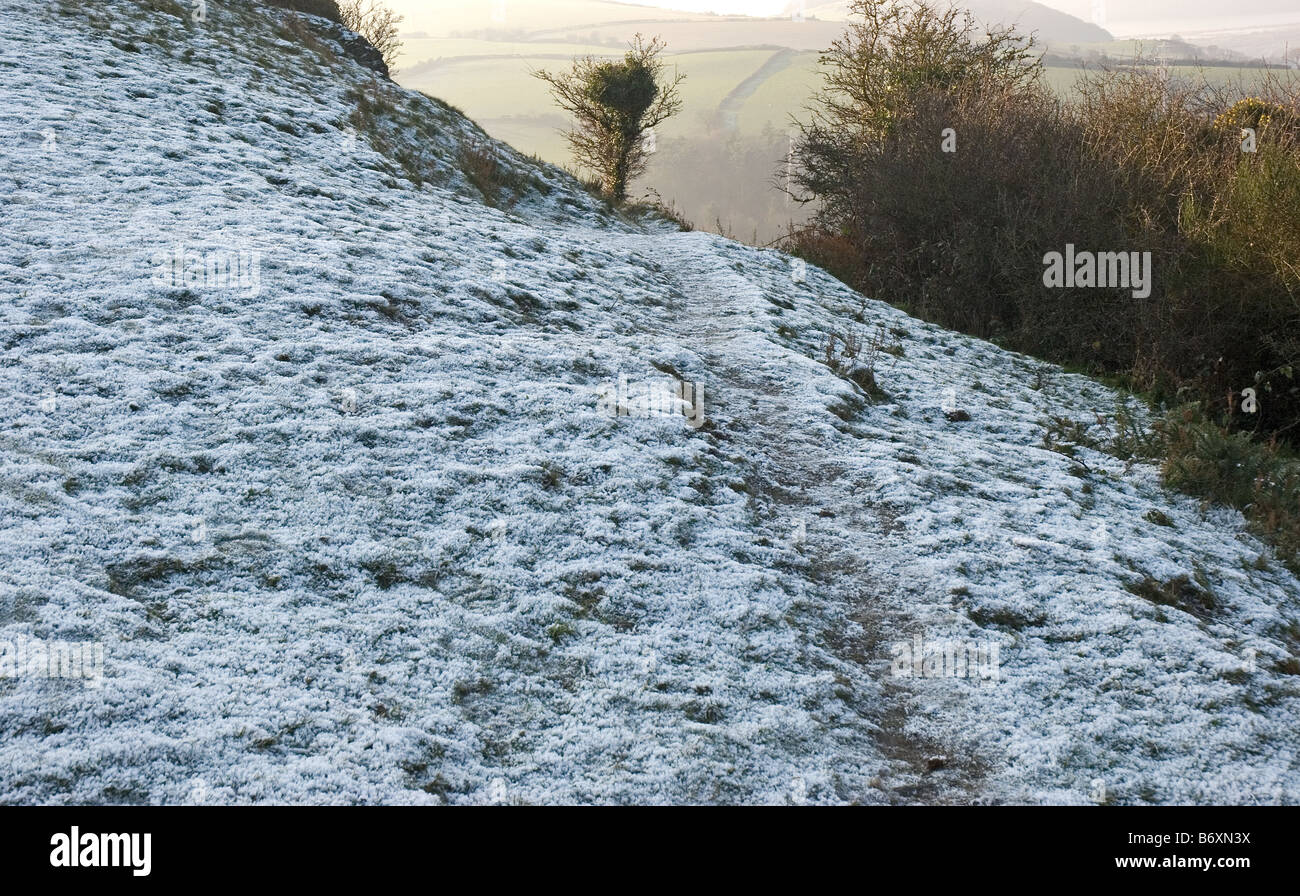 Frosty surroundings hi-res stock photography and images - Alamy