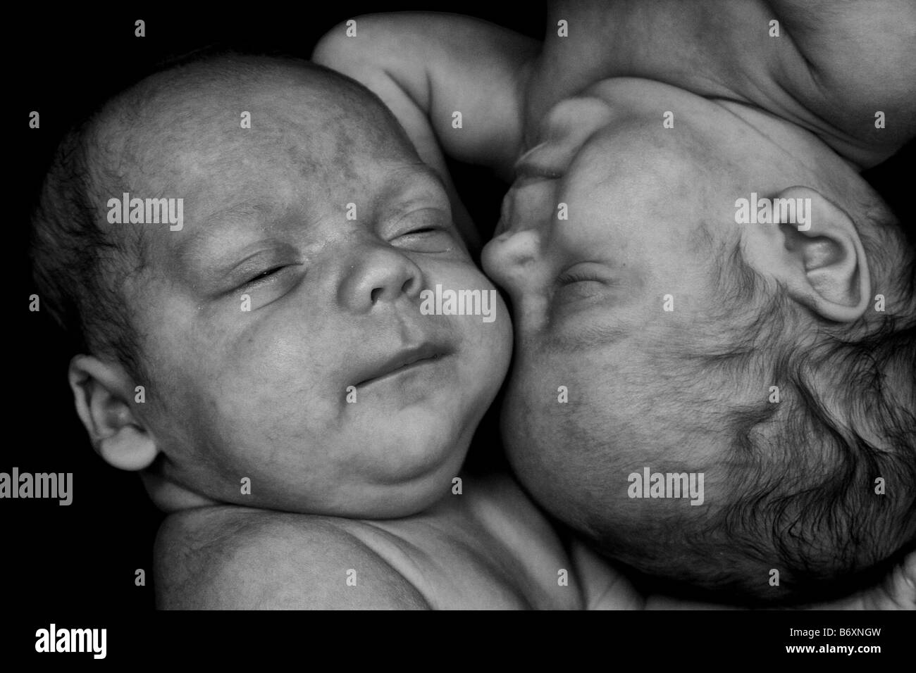 Newborn baby twins Stock Photo - Alamy Newborn baby twins Stock Photo - Alamy
