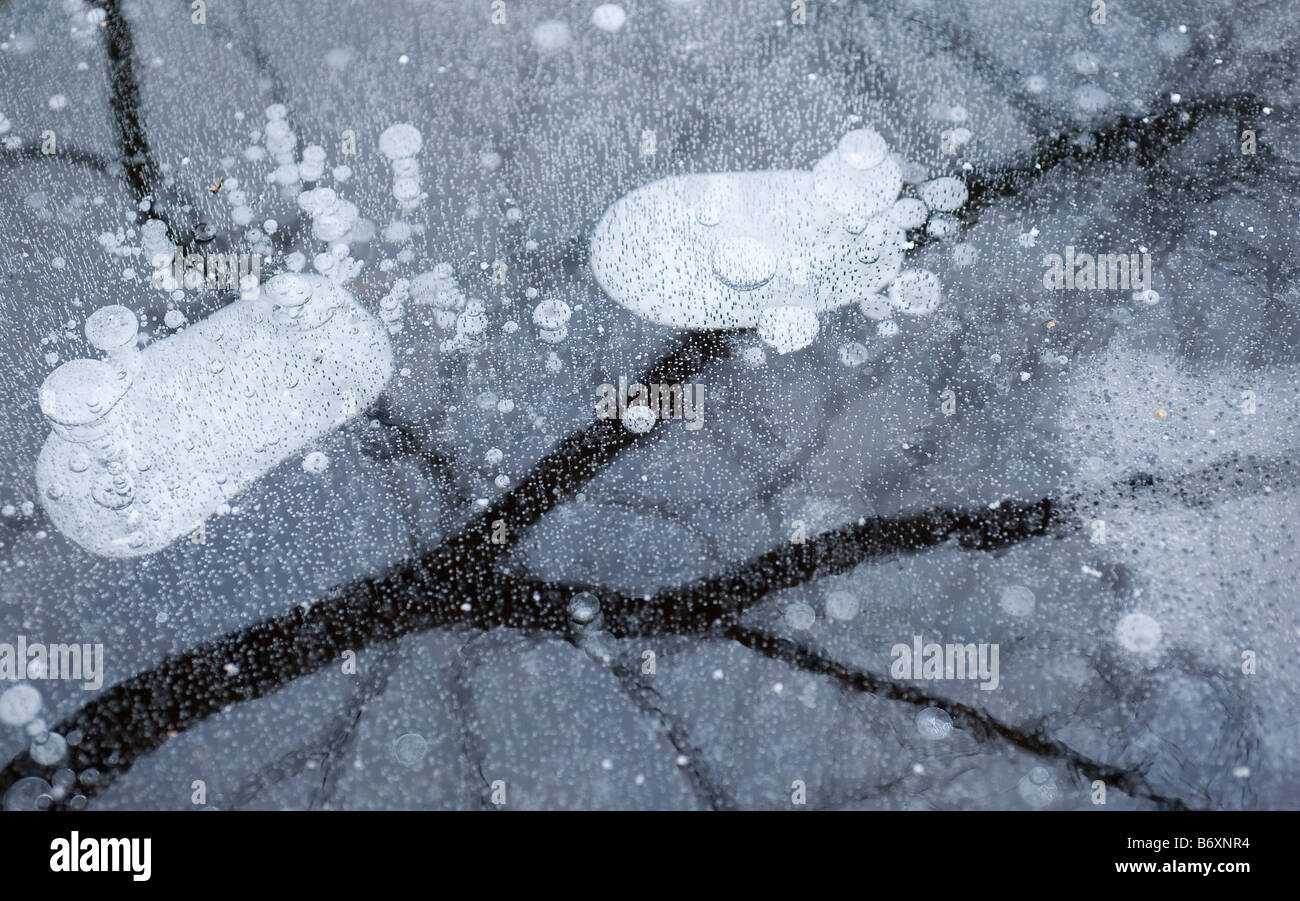 air bubbles frozen in ice, and tree reflection, Sweden Stock Photo - Alamy