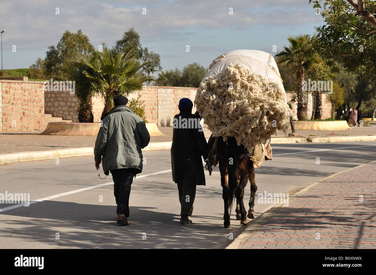 Loaded mule hi-res stock photography and images - Alamy