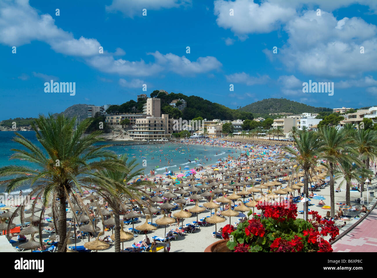 Overview of Beach at Paguera, Mallorca, Balearics, Spain Stock Photo ...