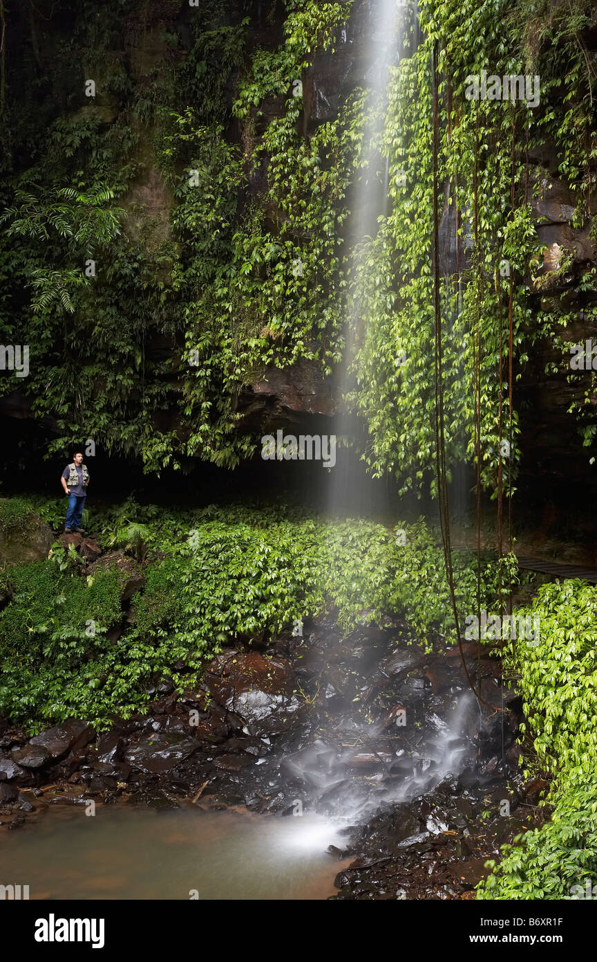 Dorrigo np hi-res stock photography and images - Alamy