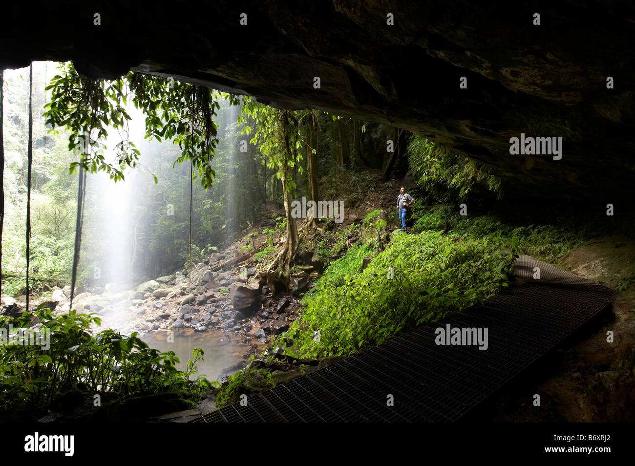 Dorrigo Np High Resolution Stock Photography and Images - Alamy