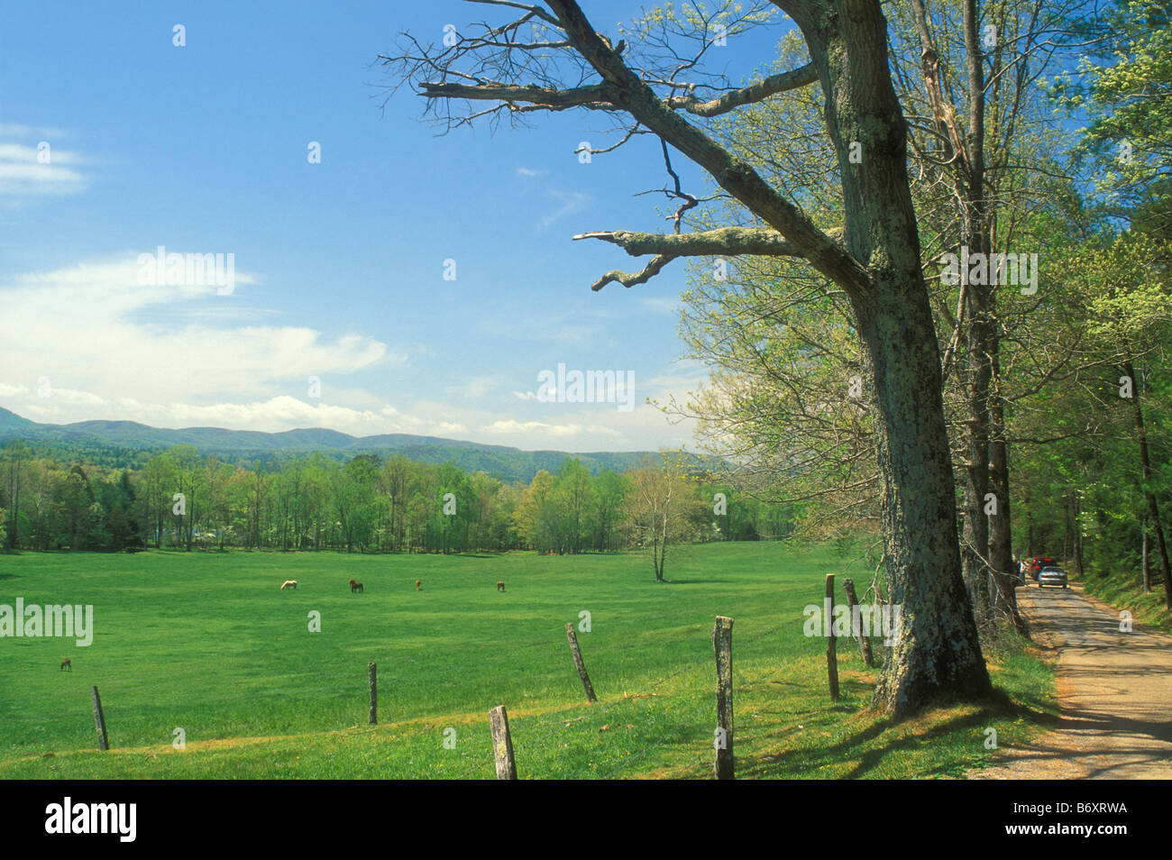 Cades cove loop drive hi-res stock photography and images - Alamy