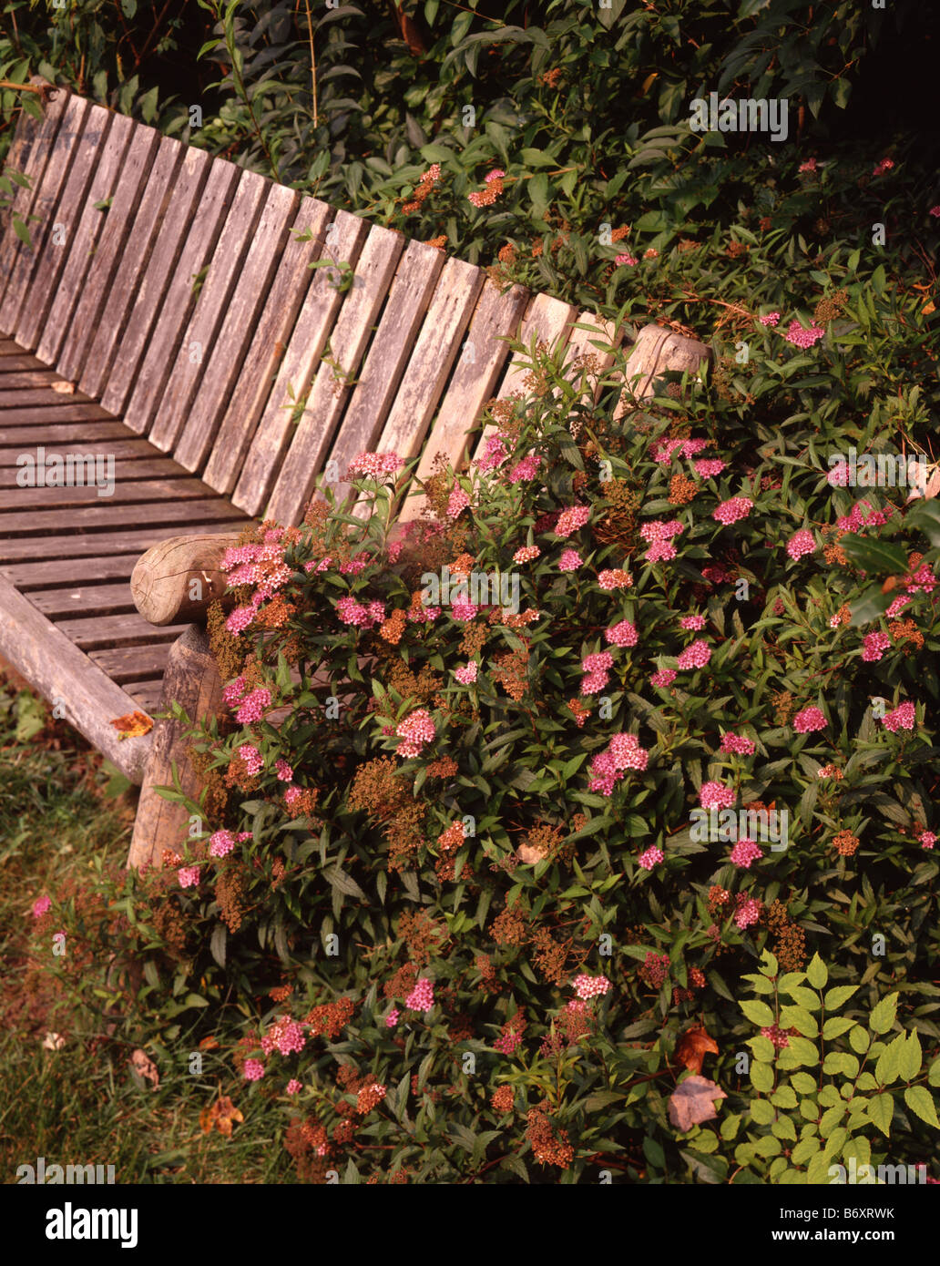 Rustic Wood Bench with Flowers Stock Photo - Alamy