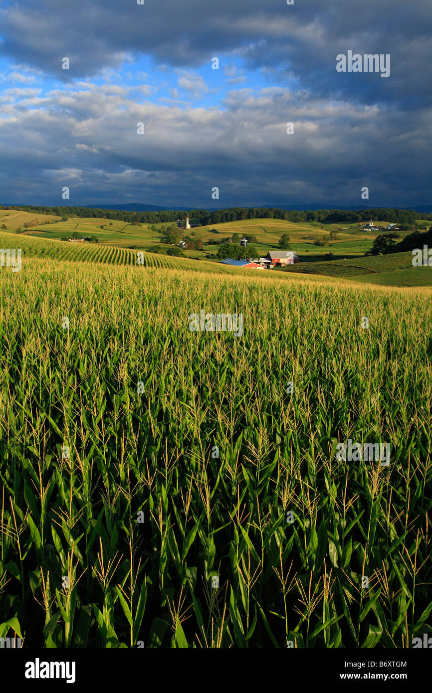 Bridgewater usa hi-res stock photography and images - Alamy