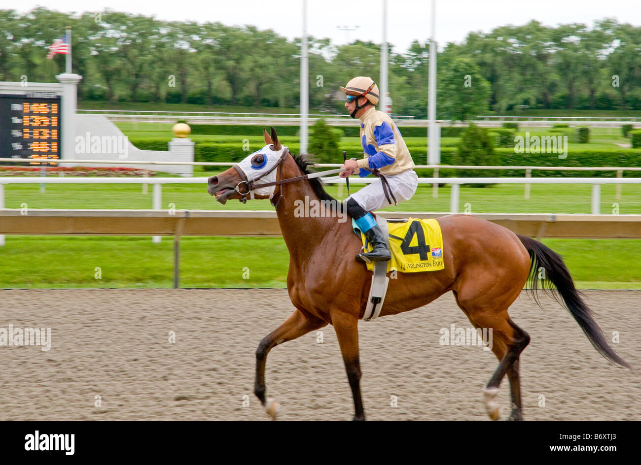 Race horse being led hi-res stock photography and images - Alamy
