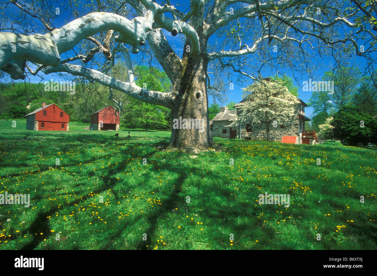 Brandywine Battlefield High Resolution Stock Photography and Images - Alamy