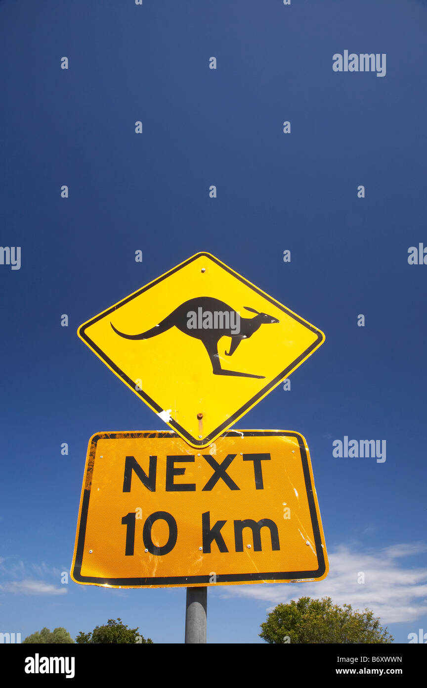 Australian kangaroo road signs hi-res stock photography and images - Alamy