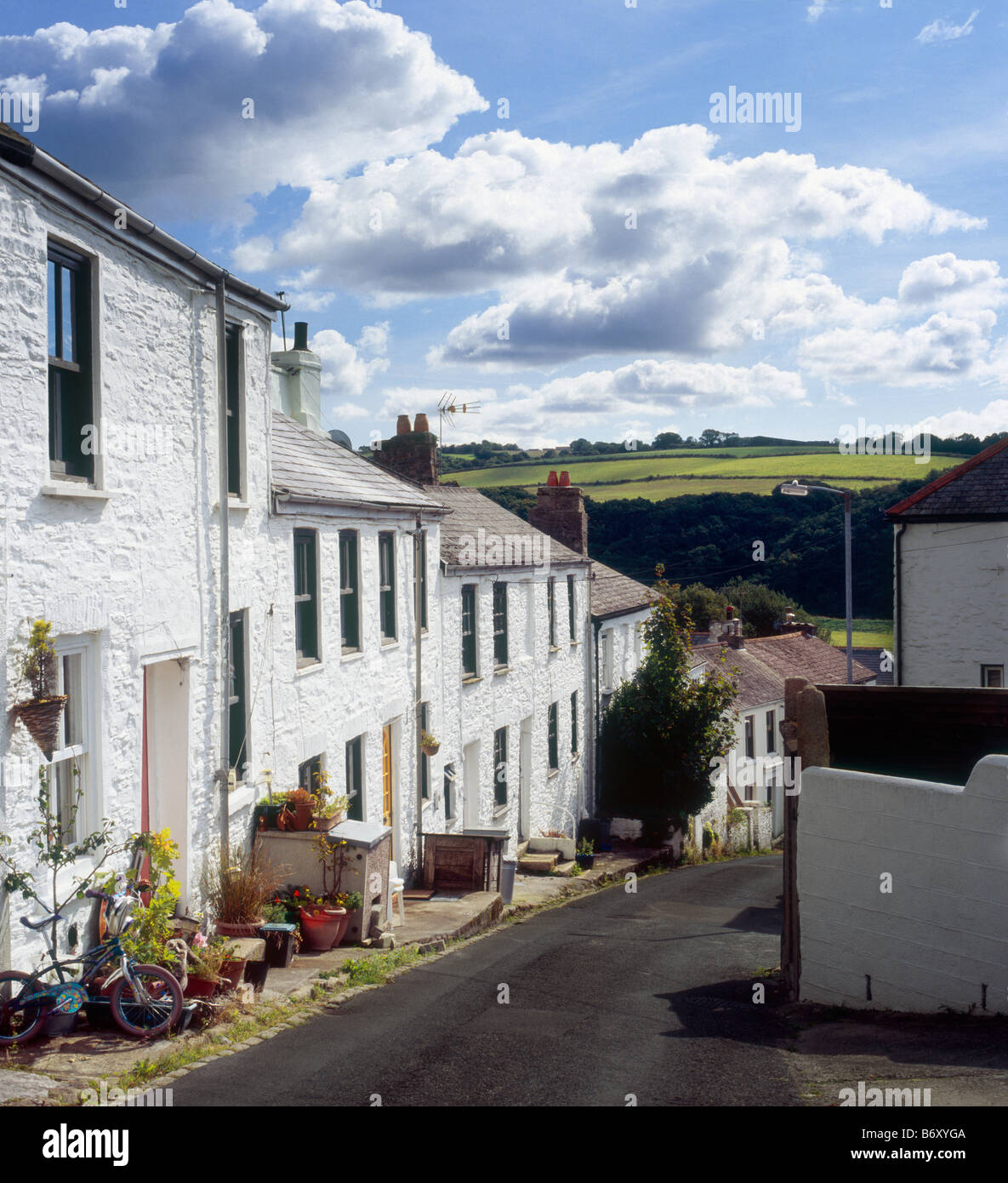 Whitewashed terraced cottages in the village of Calstock, Cornwall ...