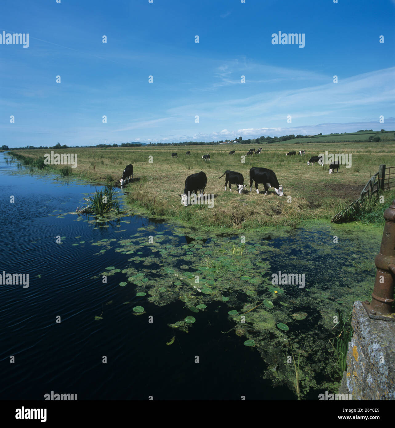 Drainage water canal hi-res stock photography and images - Alamy