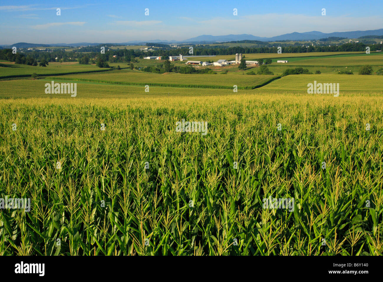 Grow Appalachian High Resolution Stock Photography and Images - Alamy