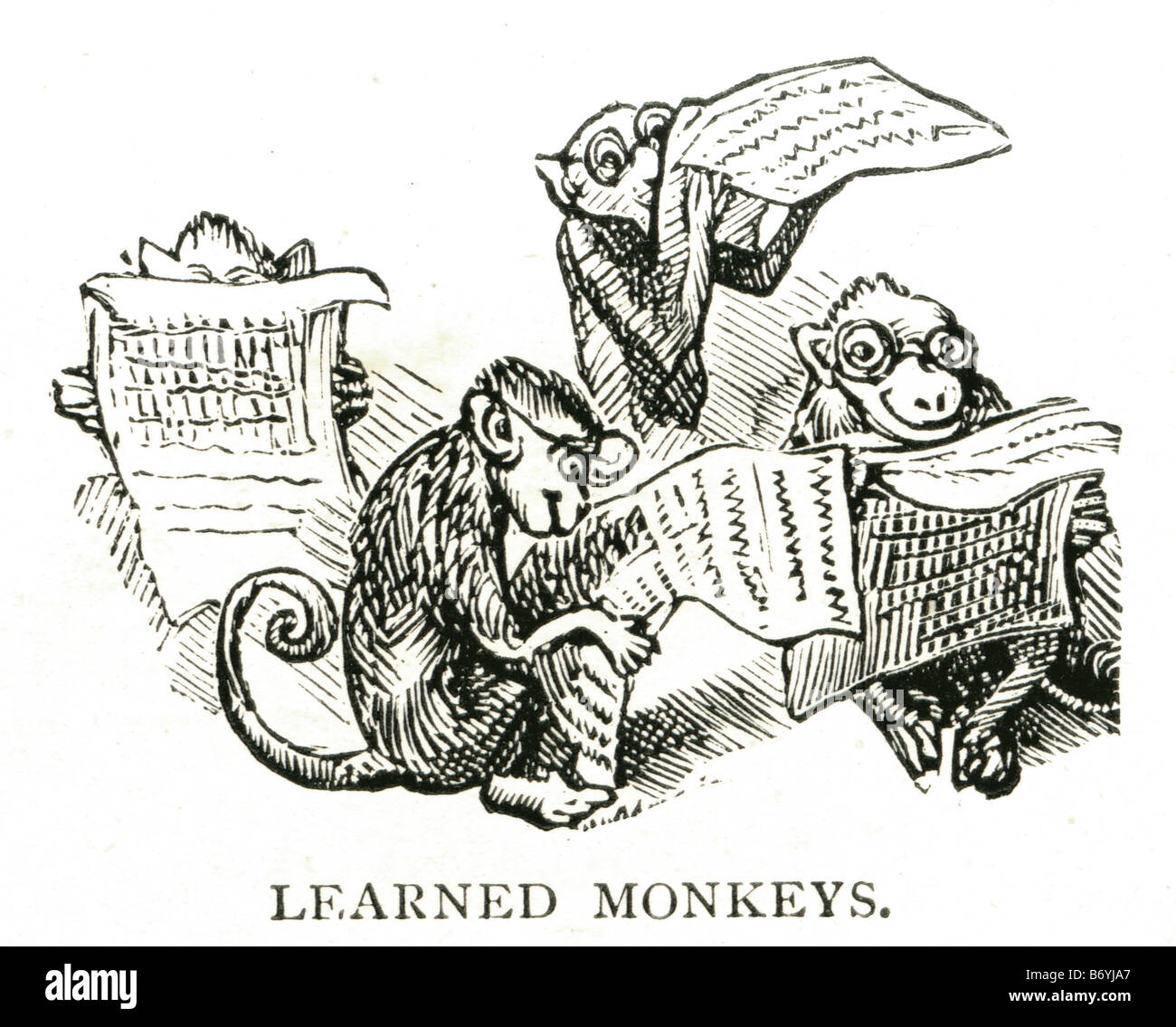 learned monkey cartoon ape reading paper chimp fantasy joke Stock Photo ...