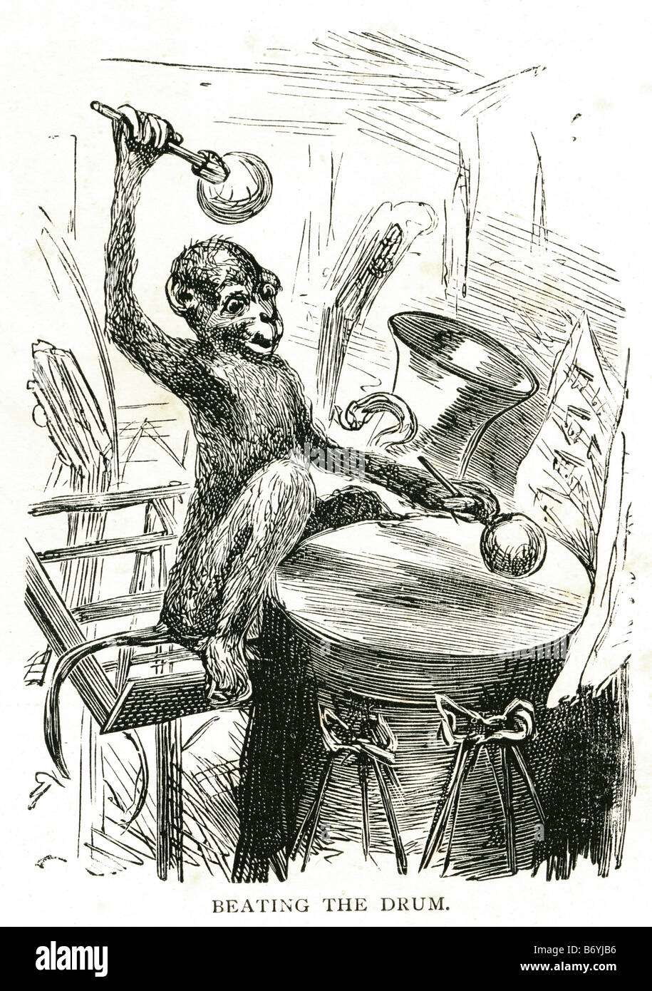 Monkey drum hi-res stock photography and images - Alamy