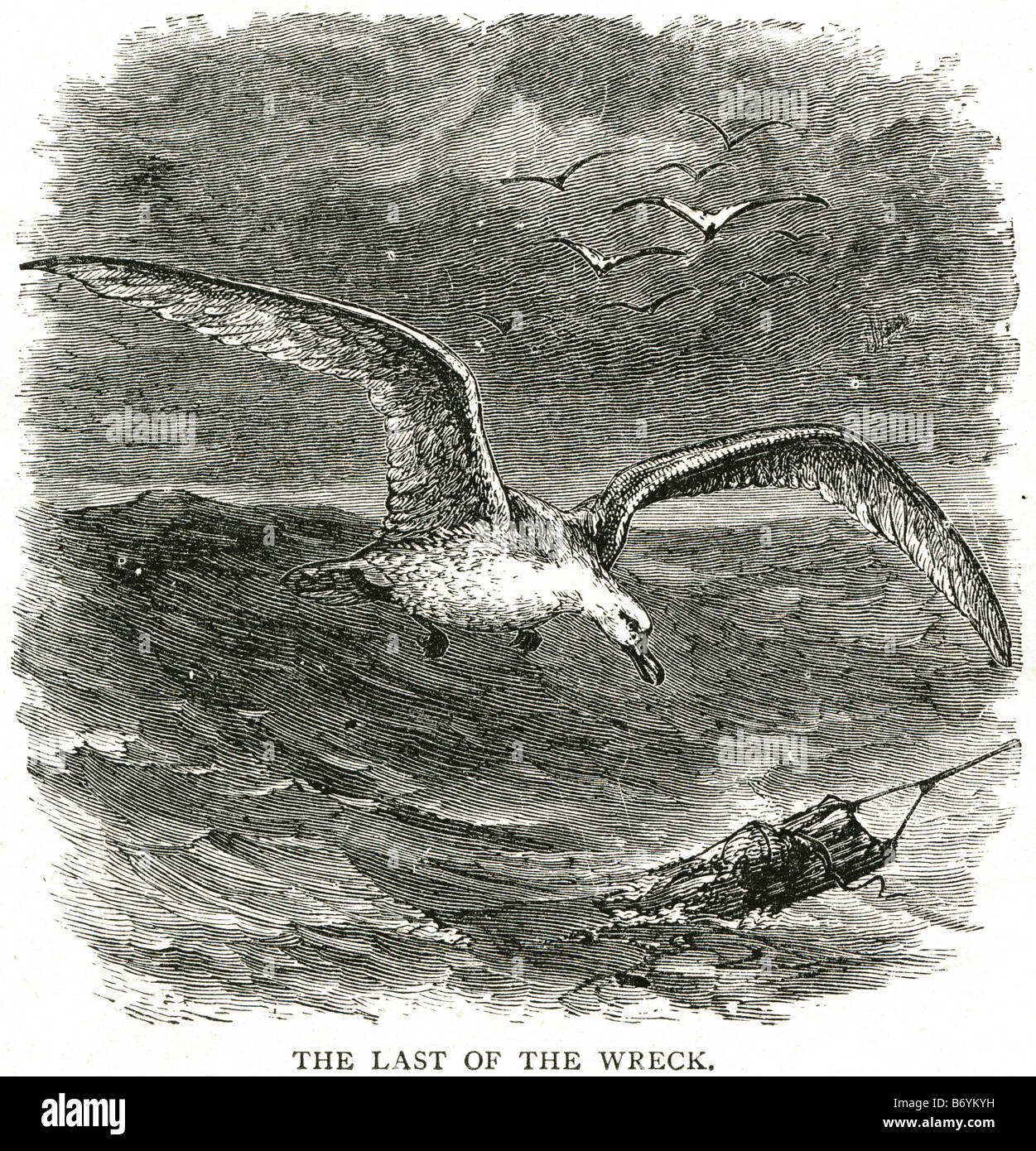 White ship disaster hi-res stock photography and images - Alamy