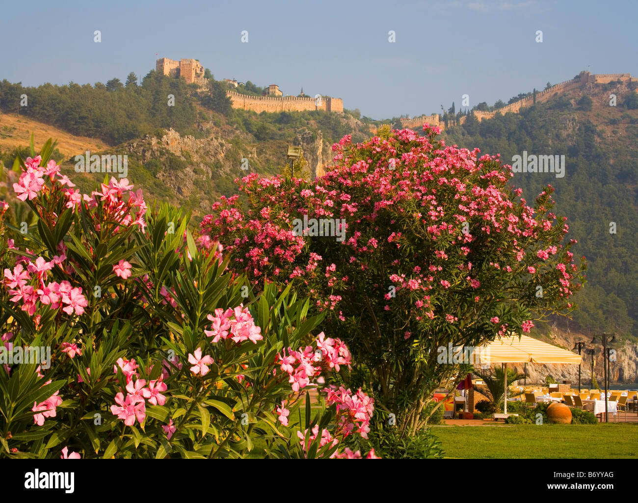 Alanya Castle from Turkish Rivera flowers Stock Photo - Alamy