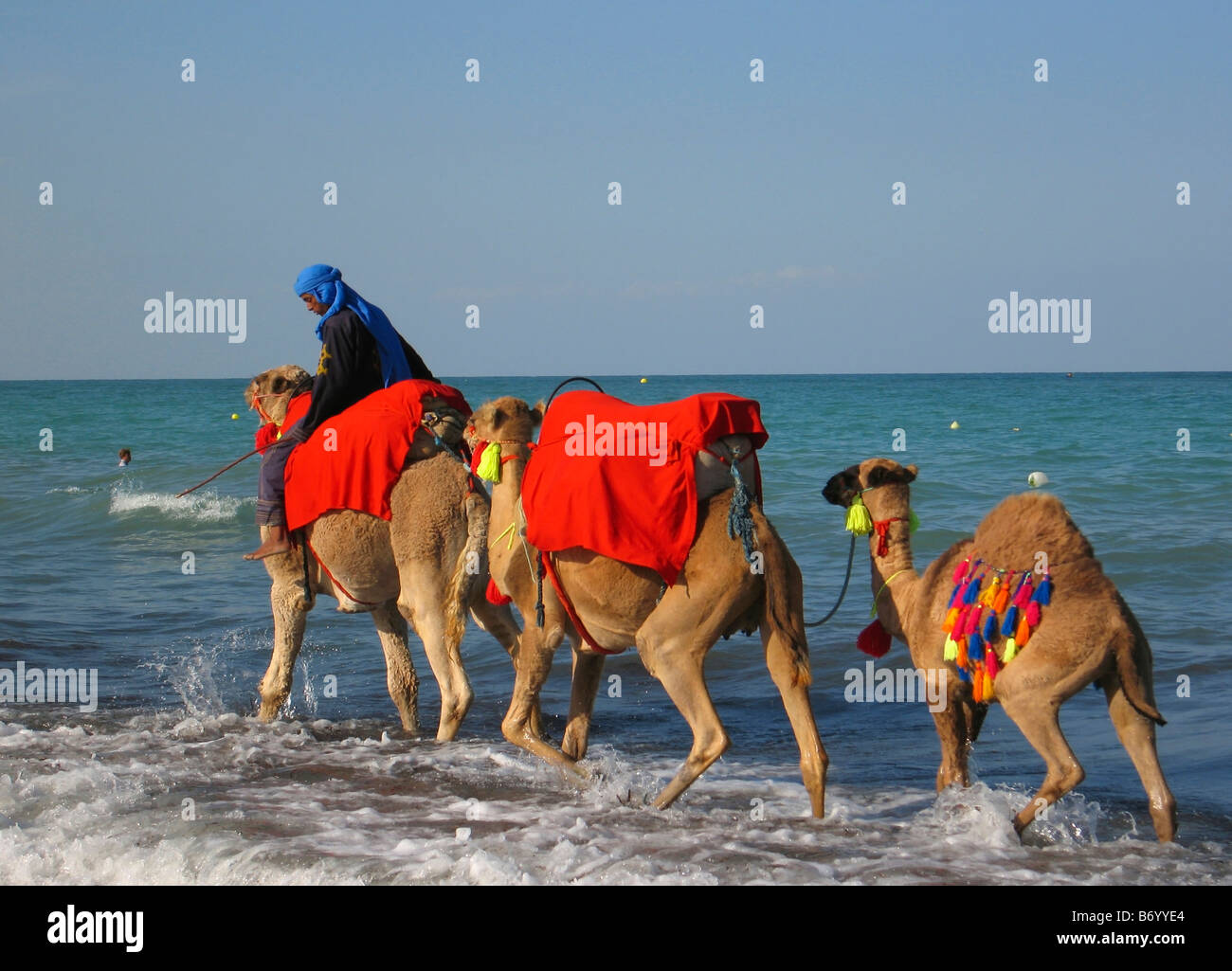 Tunisia Djerba Island beach Stock Photo - Alamy