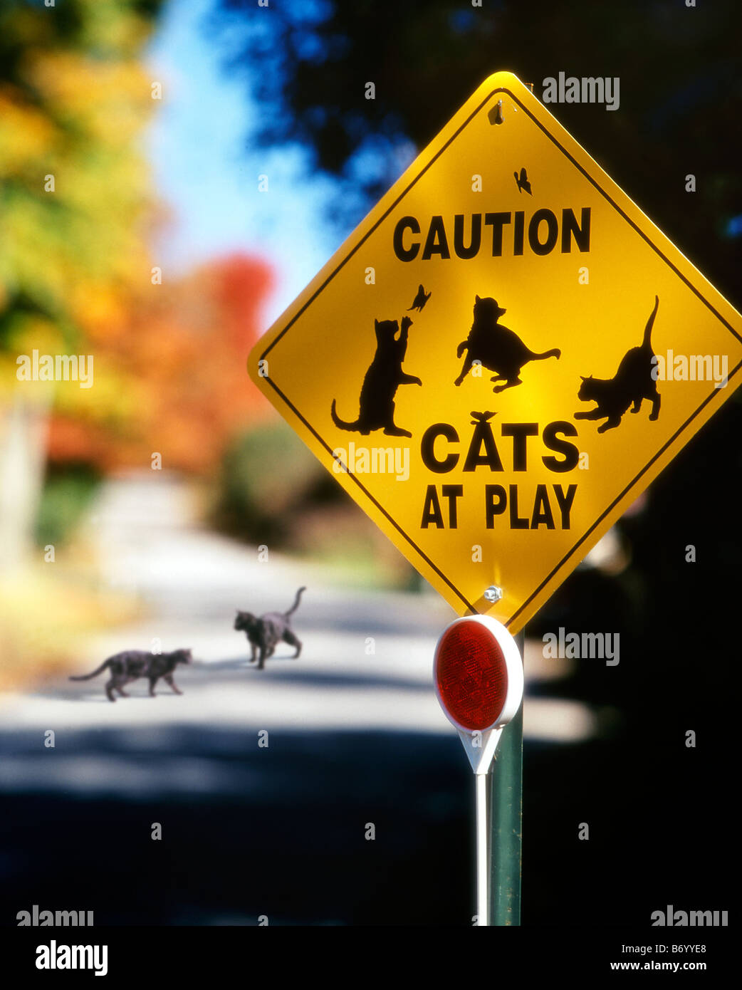 Funny road sign Stock Photo - Alamy