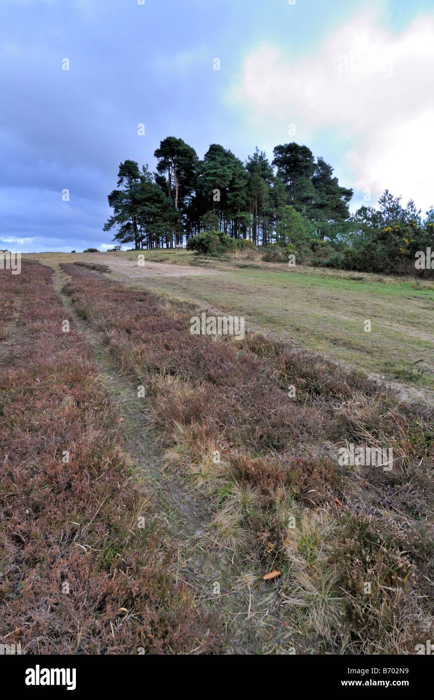 Fire ashdown forest hi-res stock photography and images - Alamy