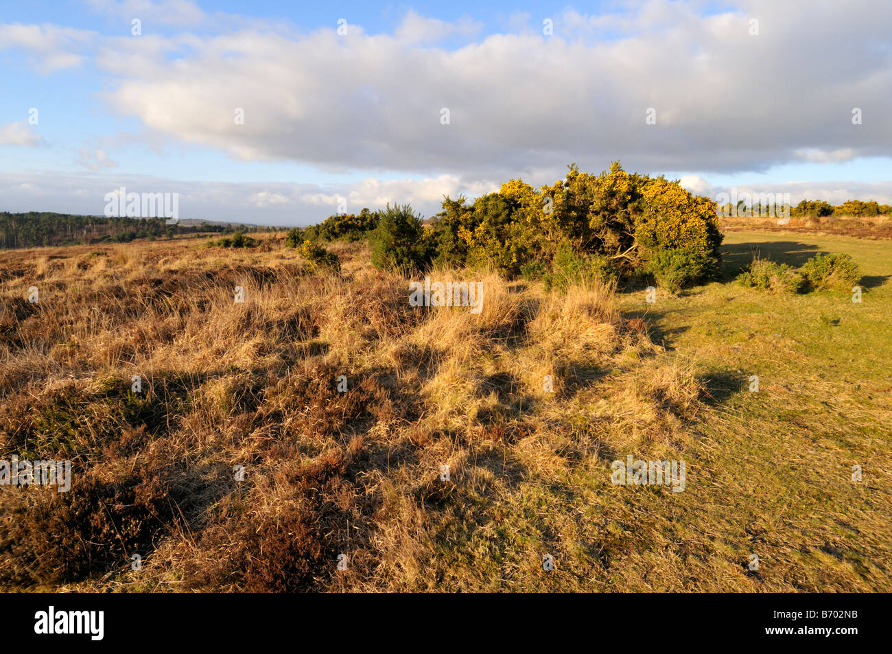 Ashdown forest fire hi-res stock photography and images - Alamy