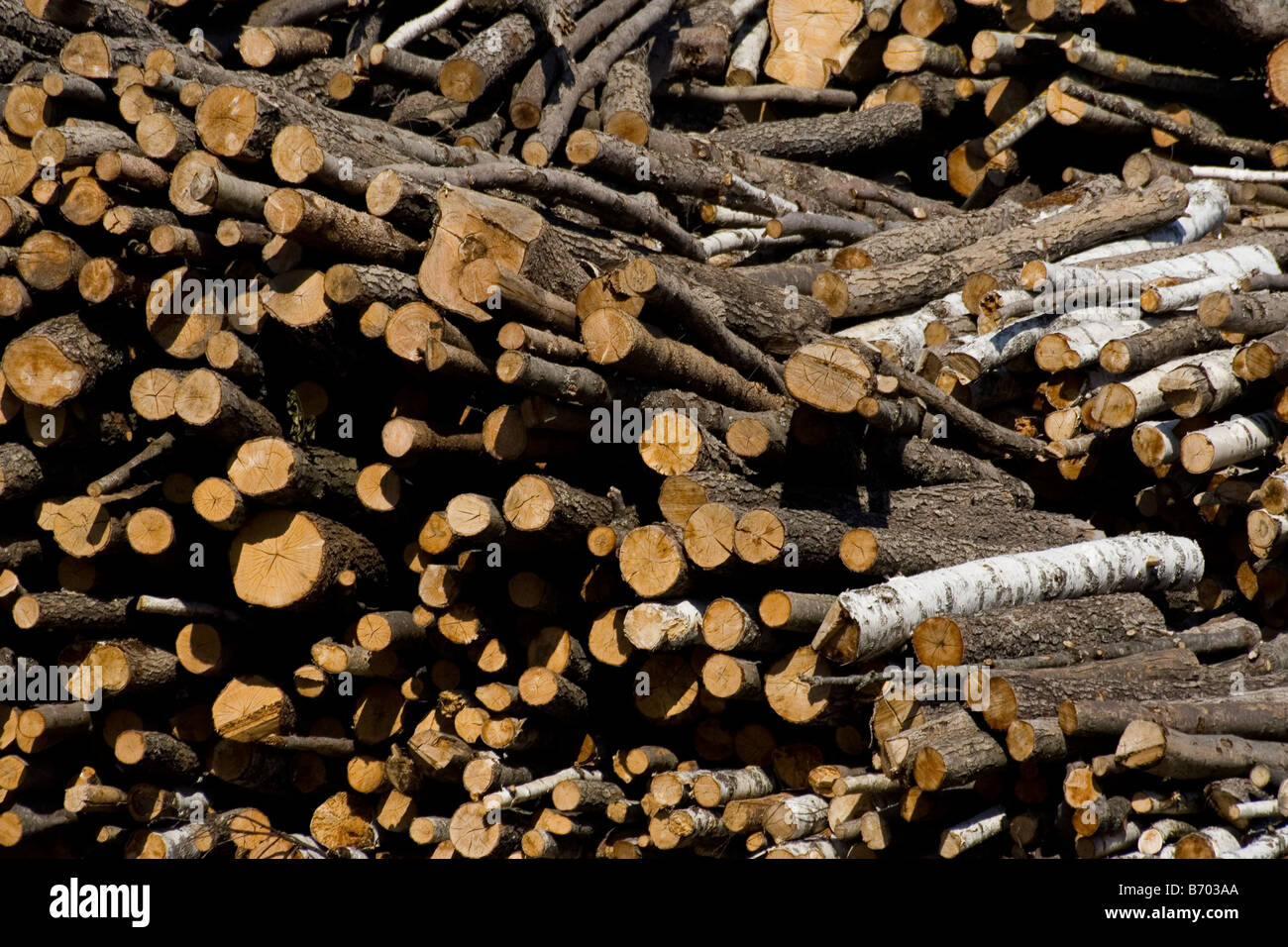 Wood pile Antazave Lithuania july 2006 Stock Photo - Alamy