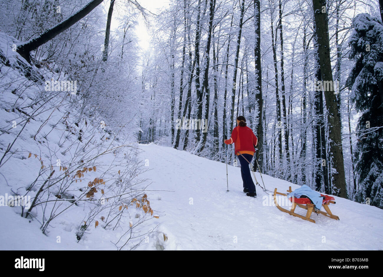 sledging at hut Gsohlalpe, Hohenems, Bregenzer Wald, Vorarlberg ...